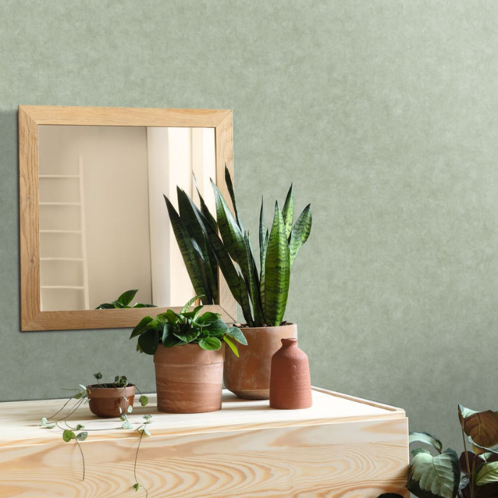 BETON UNI Wallpaper – The Wallpaper Emporium